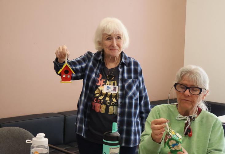 Photos: Seniors turn plain birdhouses into floral works of art | News ...