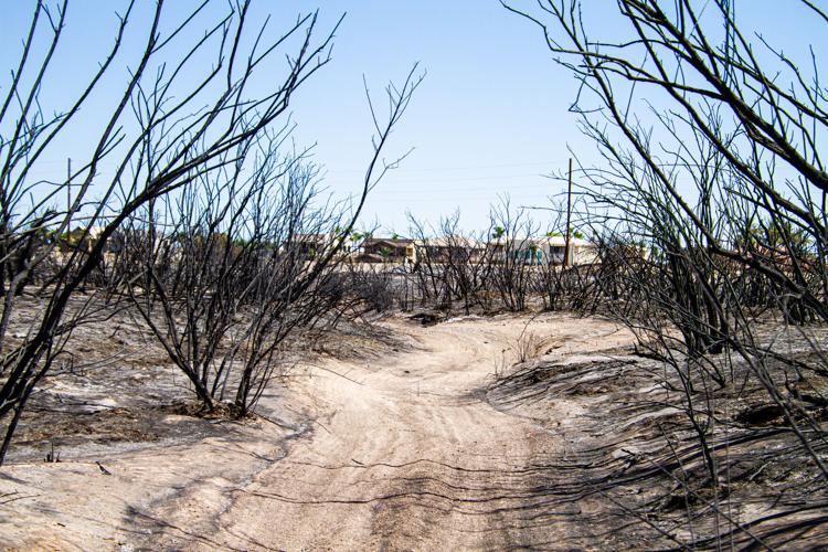 Visual story: Fire suppression continues in blaze that spread from ...