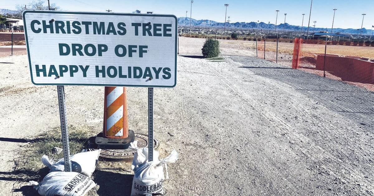 Christmas tree drop-off opens | Local News | mohavedailynews.com