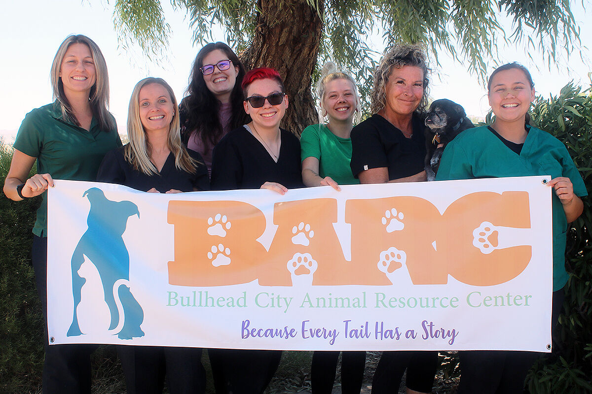 A victory for the community: Bullhead City Animal Shelter achieves 'no ...
