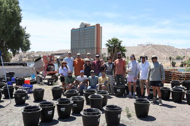 Volunteers help expand innovative Colorado River fish habitat project ...