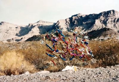 Oatman Chamber hosts 34th Christmas Bush decorating contest | News ...