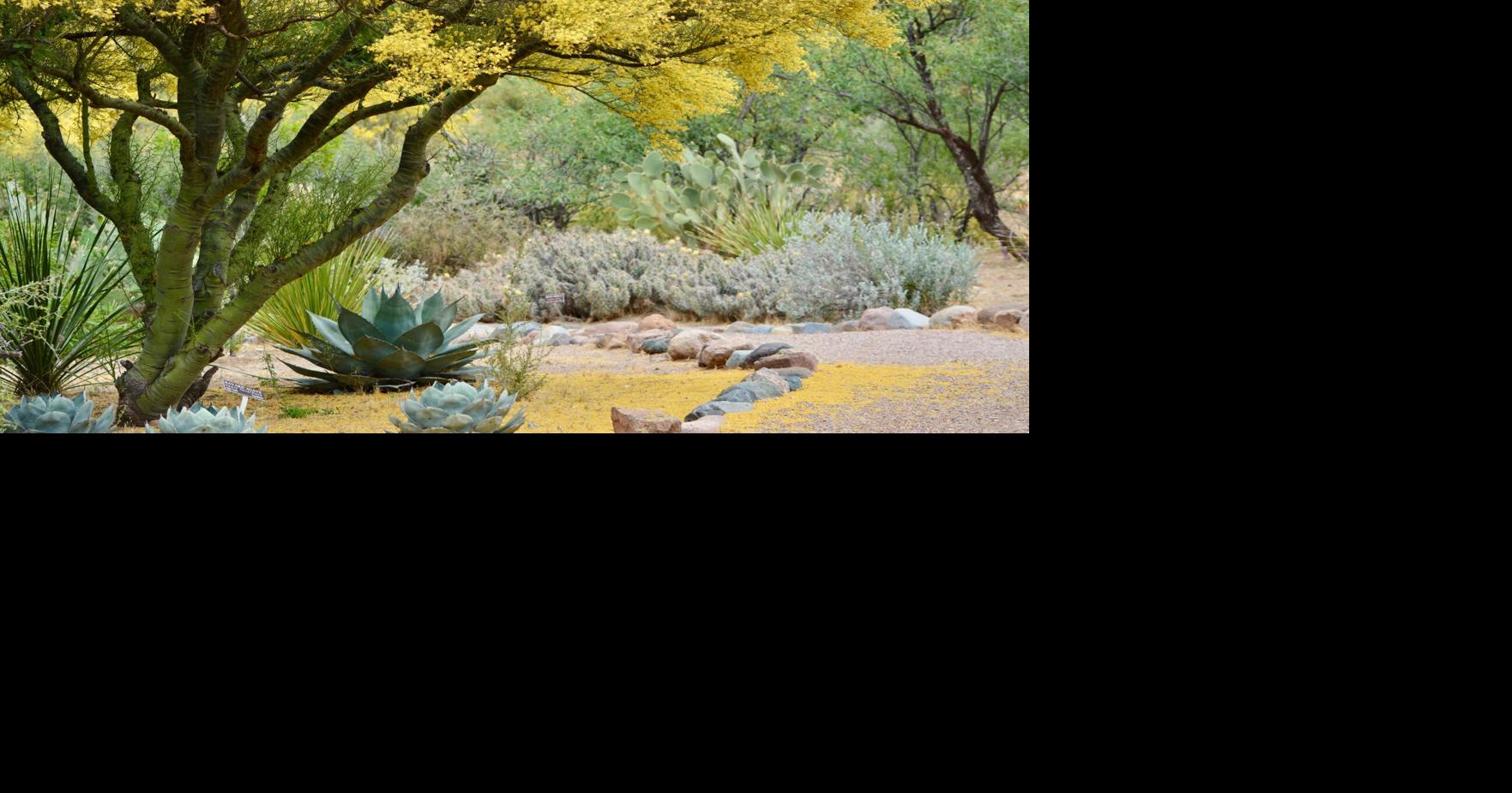 Master Gardeners to hold tree-planting demonstration | News ...