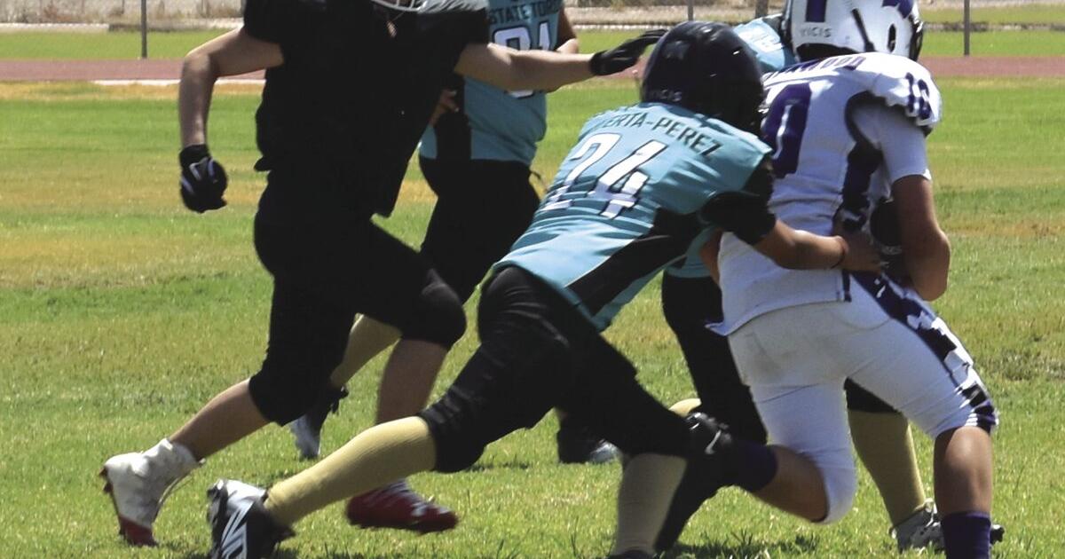 Toros, Warriors usher in new era of youth football | News ...