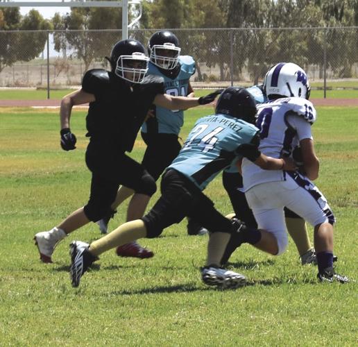 Toros, Warriors usher in new era of youth football | News ...