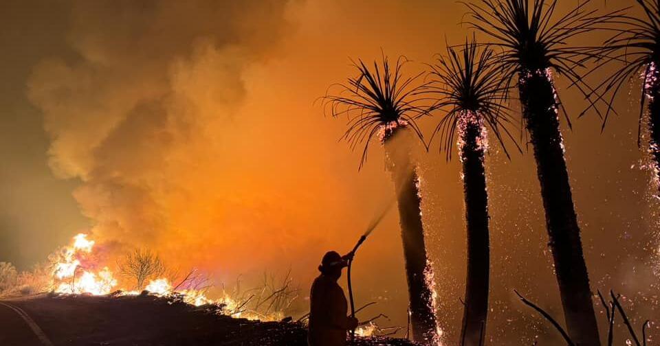 Mohave Valley Fire Department: 300-acre Topock marsh fire cause unknown ...