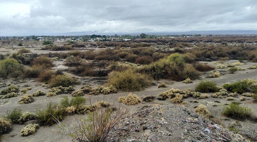 Photos: January rain | Multimedia | mohavedailynews.com