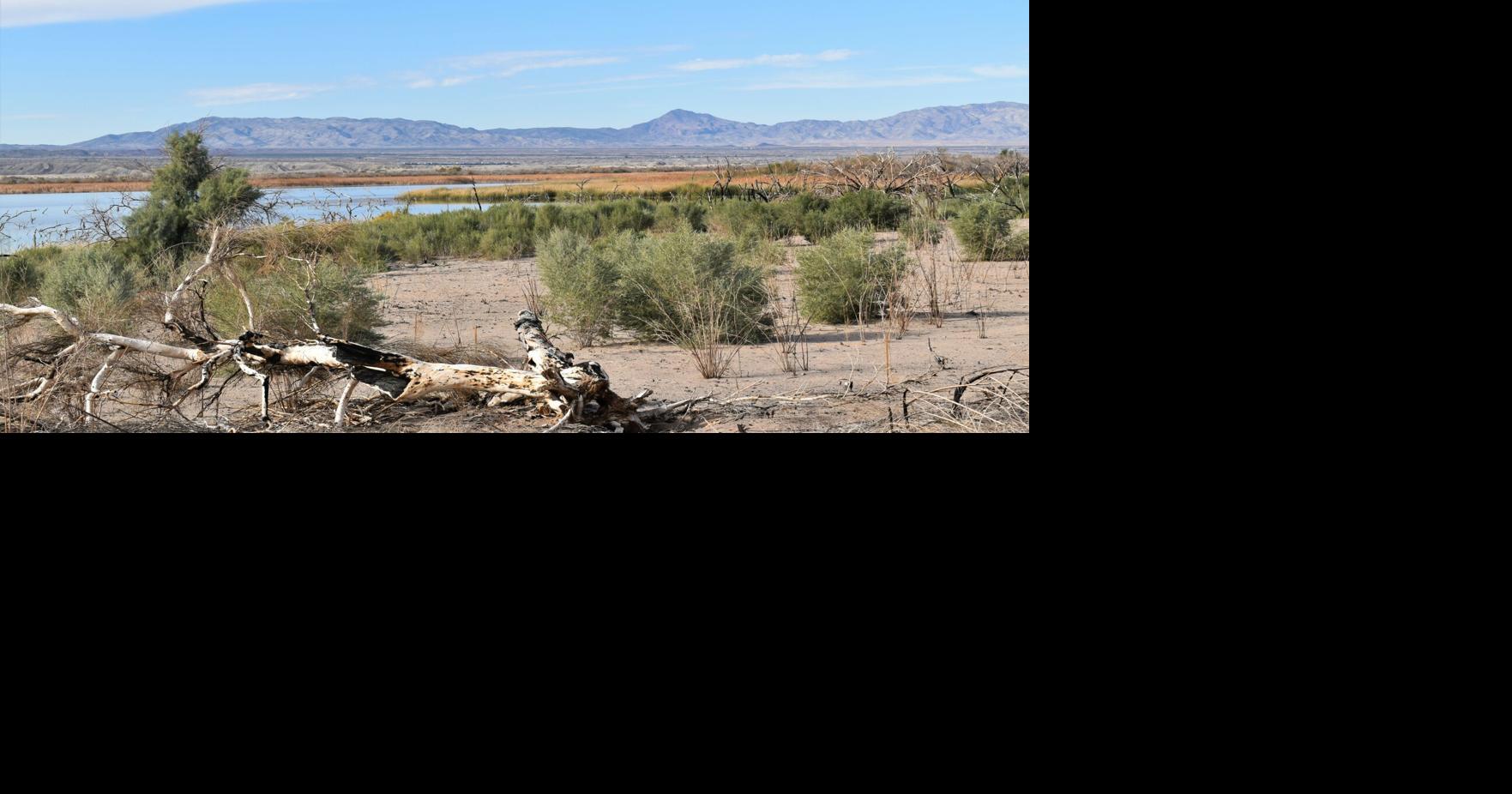 Controlled burns planned at Lake Havasu and Bill Williams River refuges ...