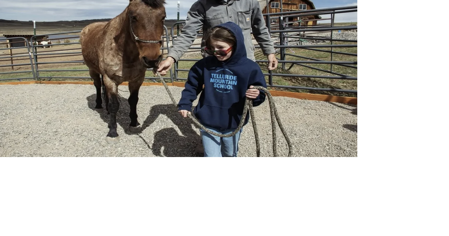 REGIONAL: A summer camp where kids connect with horses and their inner ...