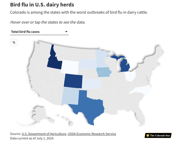 Colorado now has the worst outbreak of bird flu among dairy cattle in ...