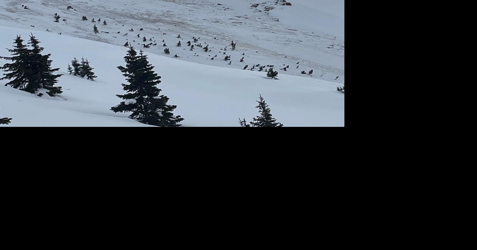 In wake of avalanche deaths, experts urge caution, prep | News ...