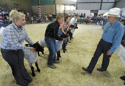 Montrose County Fair & Rodeo: Judge impressed with market lambs, youth ...