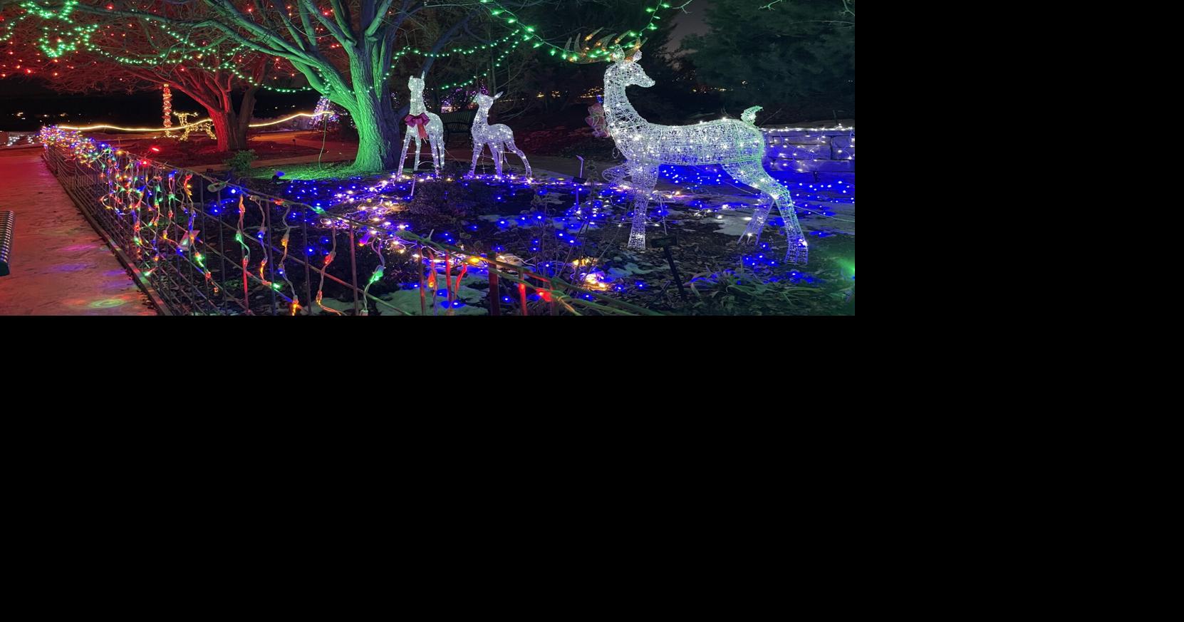 This way to the North Pole: Garden of Lights returns this weekend at ...