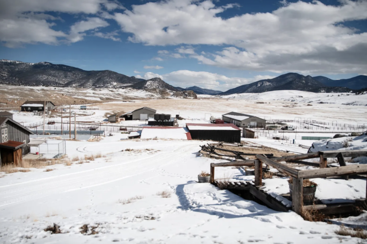 This Colorado rancher sees a world where conservation can turn a profit ...