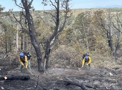 Norwood Thunder Fire 100% contained | News | montrosepress.com