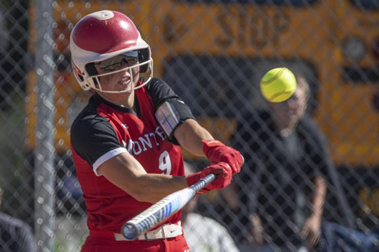 SOFTBALL: Red Hawks lay foundation in opening games — Abby Siegel ...