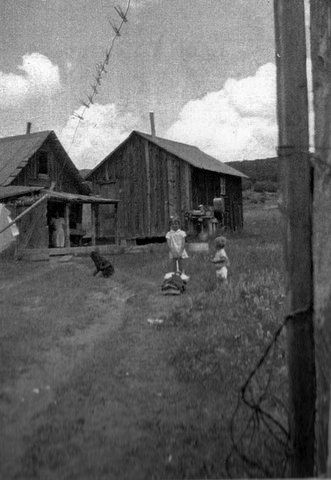 The American Sheep Ranch | Local News Stories | montrosepress.com