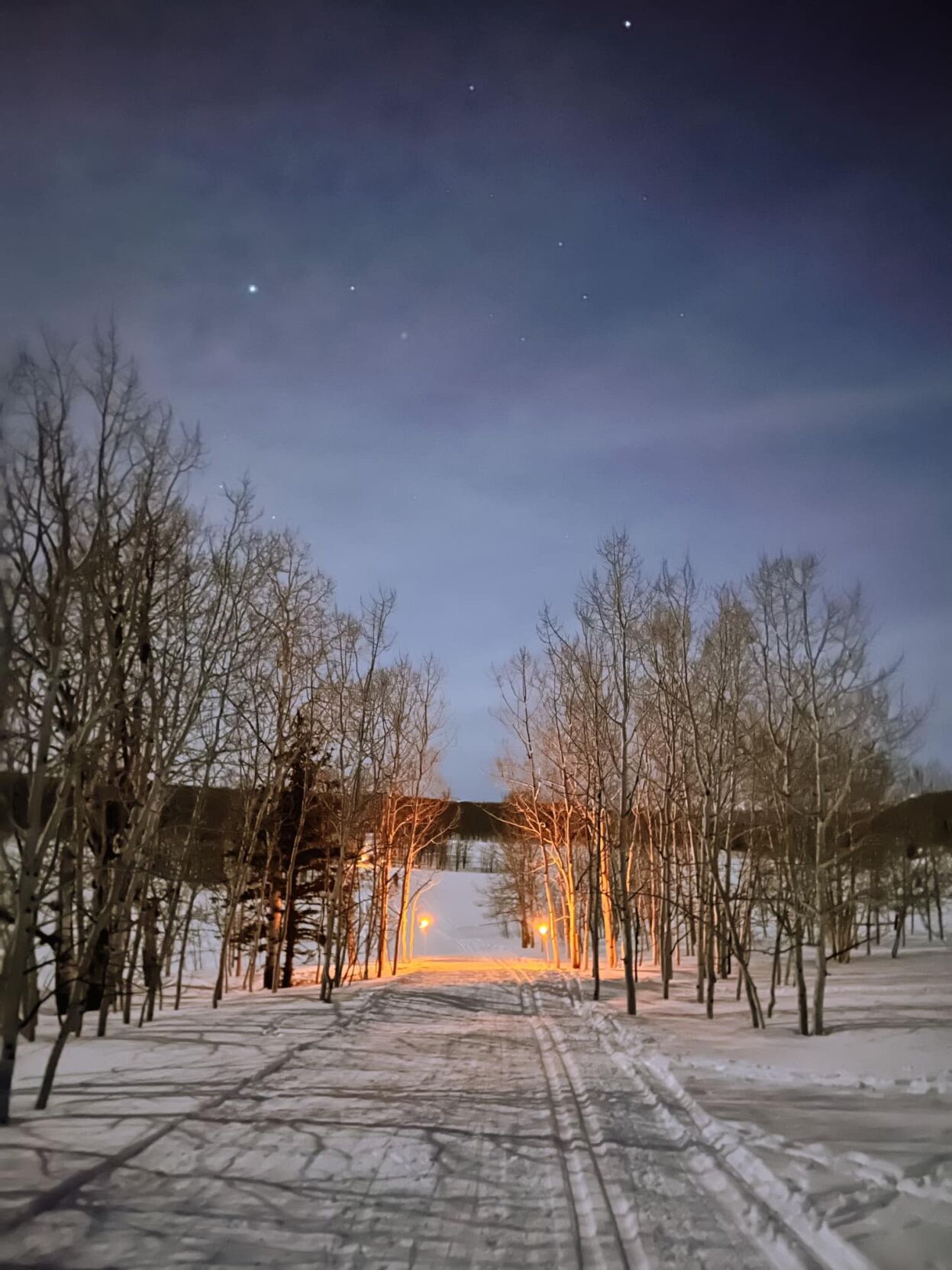 ‘Everything depends on snow’: UNA has ‘magical’ cross country ski ...