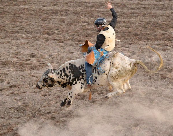 PHOTO GALLERY: Rodeo, royalty and mutton bustin' | Local News Stories ...