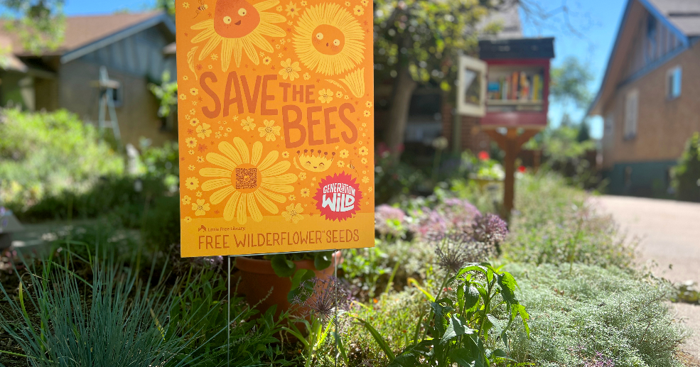 Statewide 'Wilderflower' campaign helps families help pollinators ...