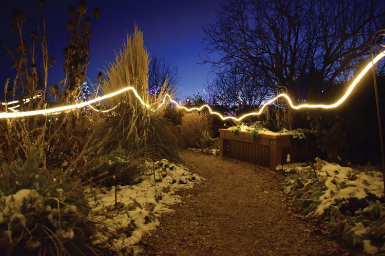 PHOTOS: Garden of Lights at Montrose Botanic Gardens returns in full ...