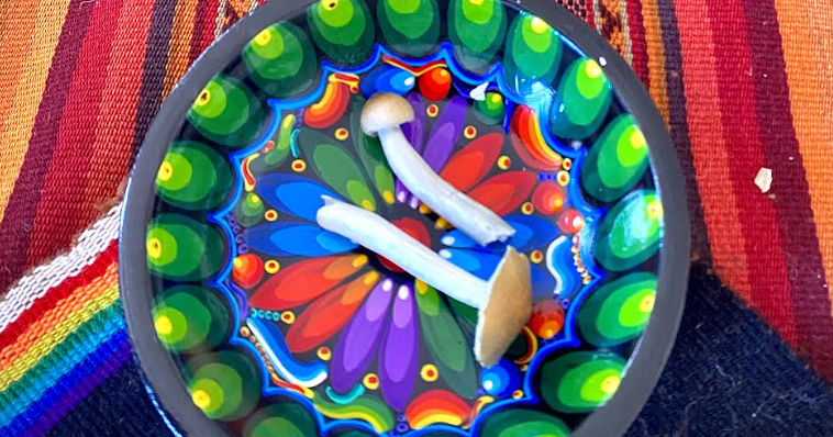 Colorado’s pioneering psychedelic program gets final tweaks as state ...