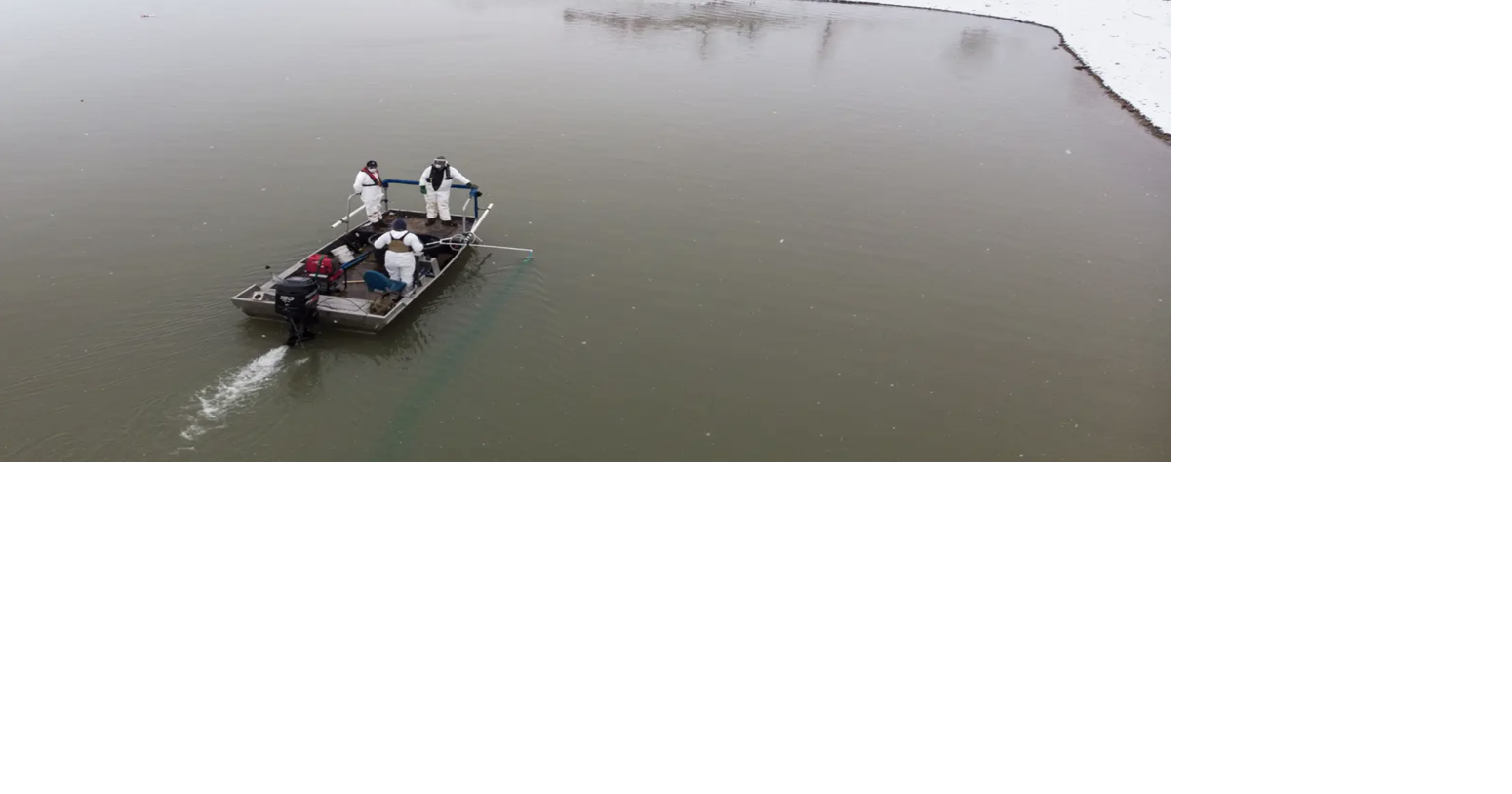 Invasive, fast-reproducing zebra mussels found in Colorado River near ...