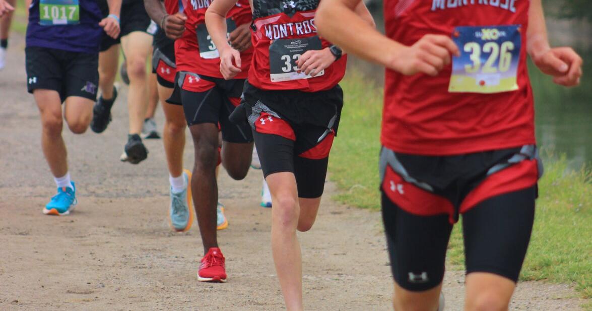 CROSS COUNTRY: Red Hawks get a glimpse of what state may be like ...