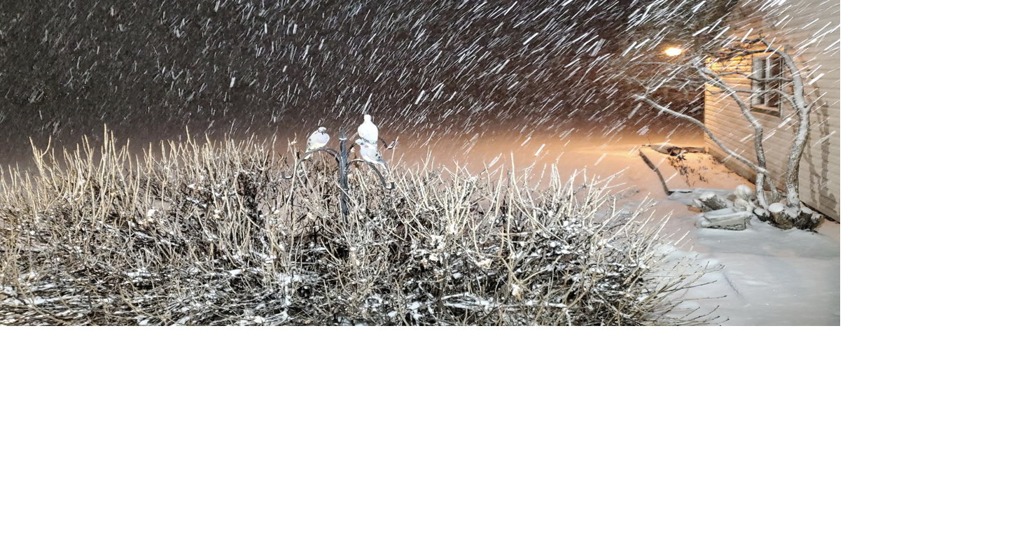 TIPS FROM THE POSSE: Deep Winter Sleep | Outdoors | montrosepress.com