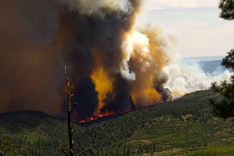 West End wildfire grows — Nucla wildfire burns 2,000 acres in 24 hours ...