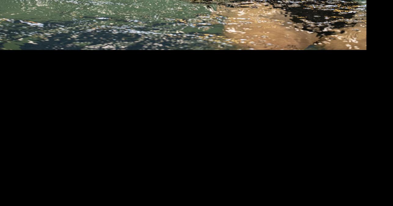 SWIMMING: Red Hawks wade deeper into season, eye state meet in February ...