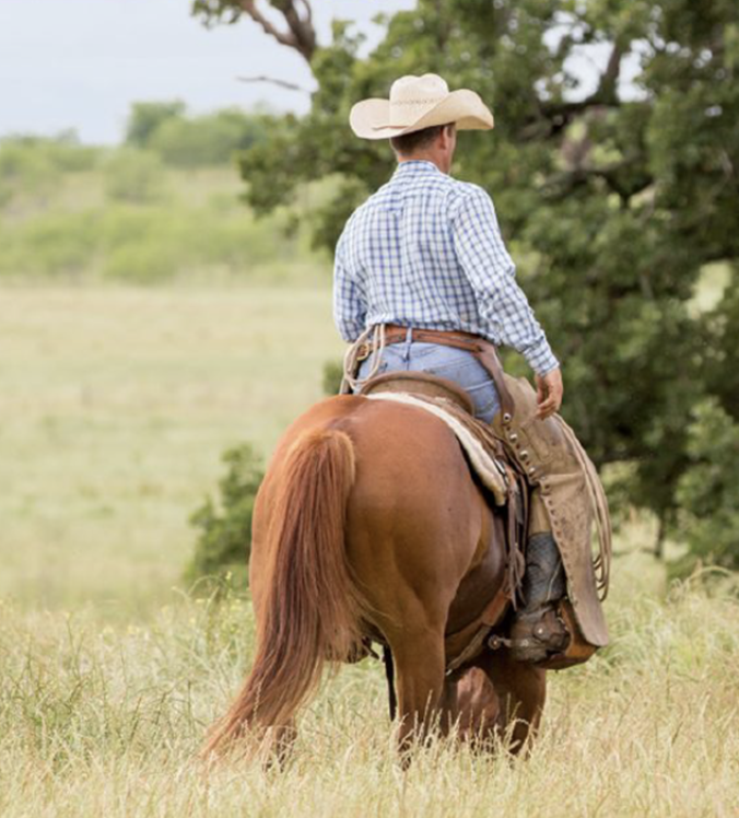 Colorado Range Rider program hosts training on non-lethal wolf ...