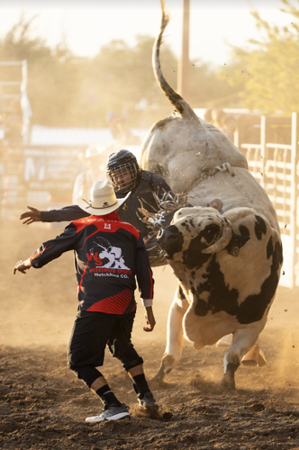 Get ready for the rodeo: Annual Montrose County Fair and Rodeo boasts ...