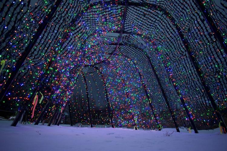 Photo Gallery: Garden of Lights at the Montrose Botanical Gardens ...