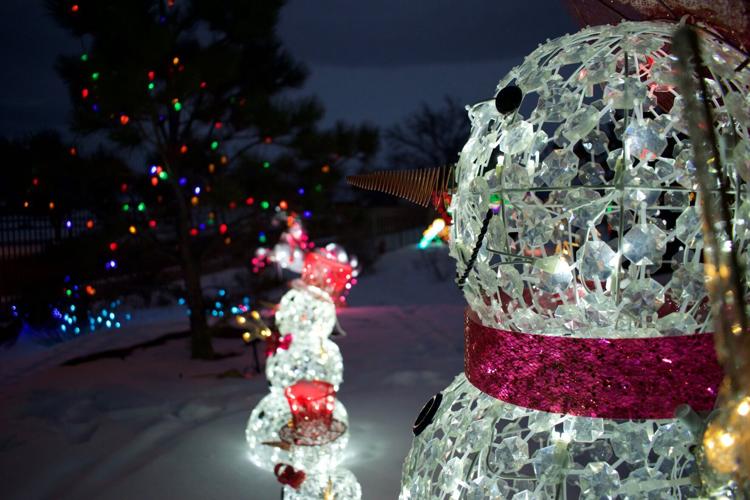 Photo Gallery: Garden of Lights at the Montrose Botanical Gardens ...