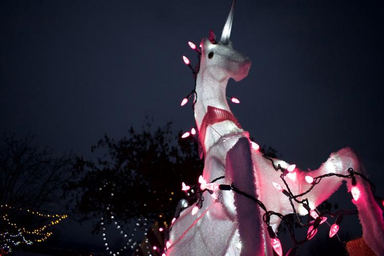 Photo Gallery: Garden of Lights at the Montrose Botanical Gardens ...