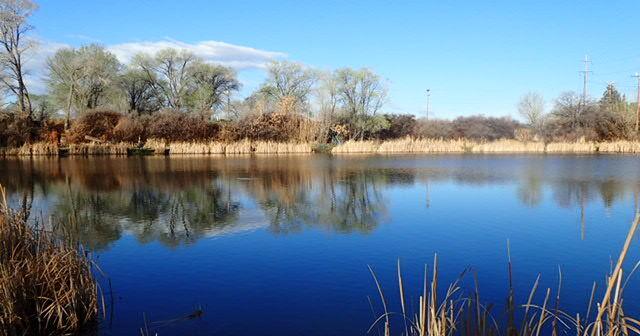 OUTDOORS: Chipeta Lake kids' fishing derby | Outdoors | montrosepress.com