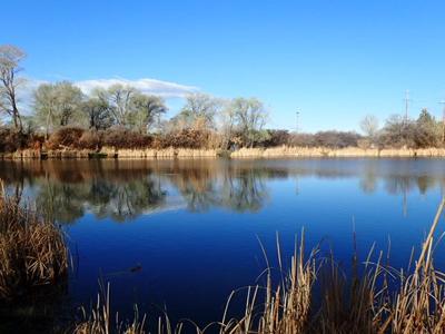 OUTDOORS: Chipeta Lake kids' fishing derby | Outdoors | montrosepress.com
