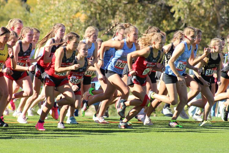 MHS cross country heads to state | Local Sports News | montrosepress.com