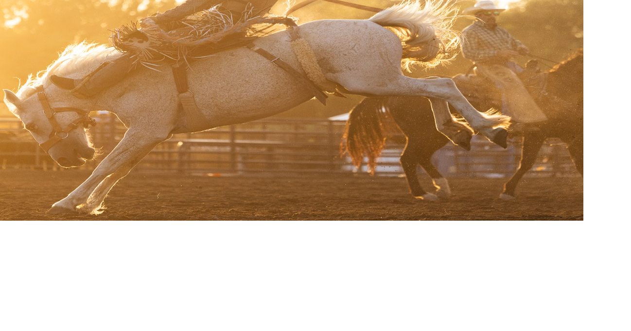 Montrose Fair & Rodeo rides into the sunset [PHOTOS] | Local News ...