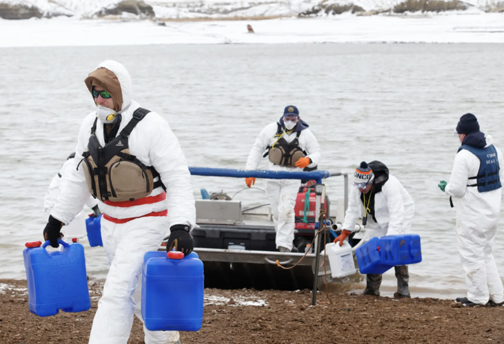 Invasive, fast-reproducing zebra mussels found in Colorado River near ...