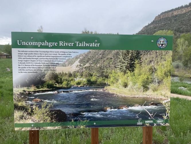 Uncompahgre River lands on new Colorado Quality Waters list for fishing ...