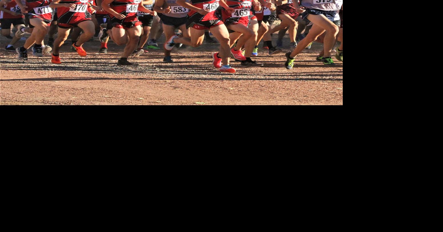 Montrose cross country athletes readying for trip to final meet | Local ...