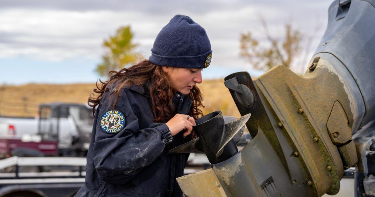 CPW making 2 aquatic nuisance inspection sites permanent | News ...