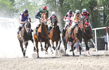 Horse racing fans treated to afternoon of entertainment | Local News ...