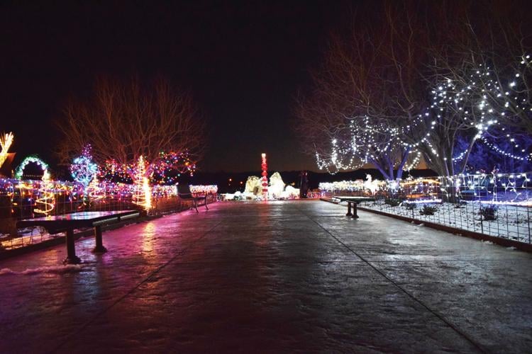 PHOTOS: Garden of Lights at Montrose Botanic Gardens returns in full ...