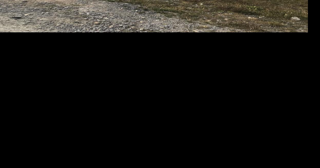 OUTDOORS: Imogene Pass Run draws a thousand | Outdoors | montrosepress.com