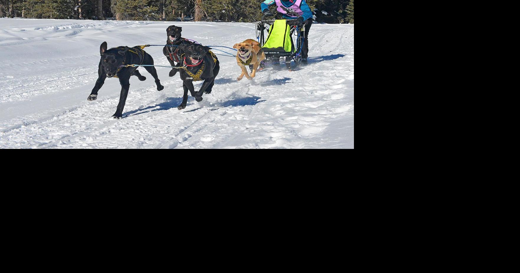 America's highest sled dog race returns to the Grand Mesa this weekend ...