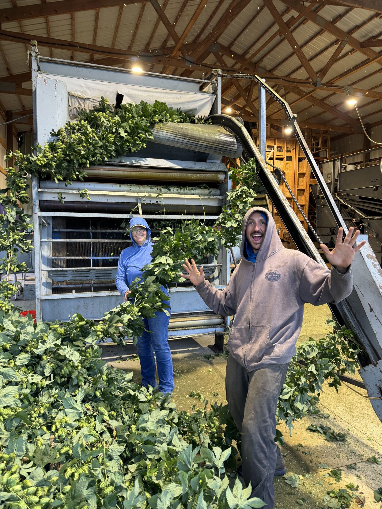 Billy Goat Hop Farm celebrates another succesful harvest with Southwest ...