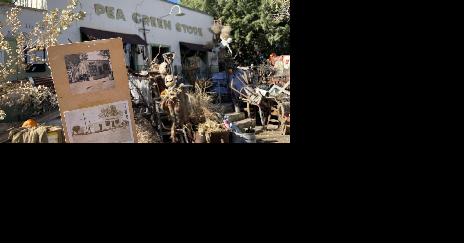 ‘I never want people to forget Pea Green’: Pickin’ at the Pea gives a ...